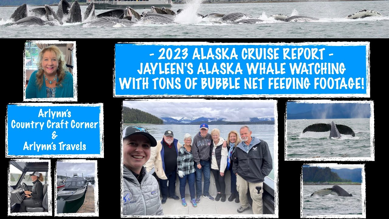 2023 ALASKA CRUISE REPORT - JAYLEEN'S ALASKA WHALE WATCHING WITH TONS ...
