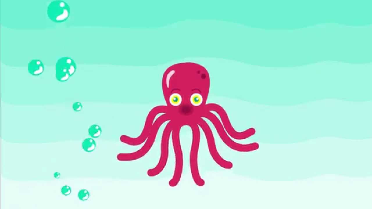 Hi5 KIDS - Octopus - YouTube