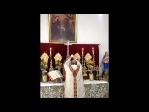 (235) Misa “Los siete Hermanos mártires, Santa Rufina y Santa Segunda ...