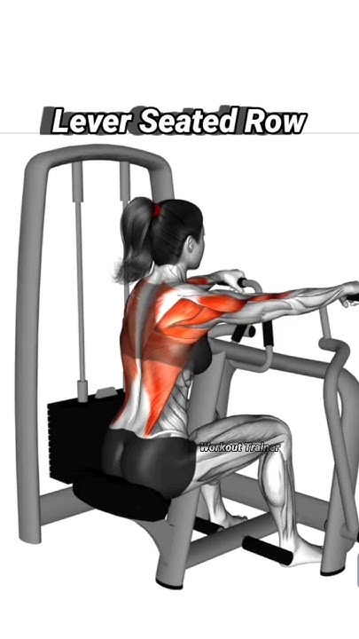 Lever Seated Row - Back workout #shorts #viral - YouTube