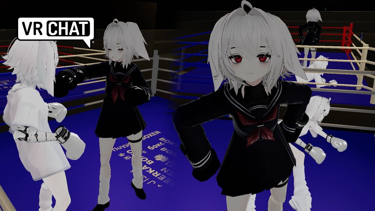 Rage of the Rabbits VRchat BOXING - YouTube