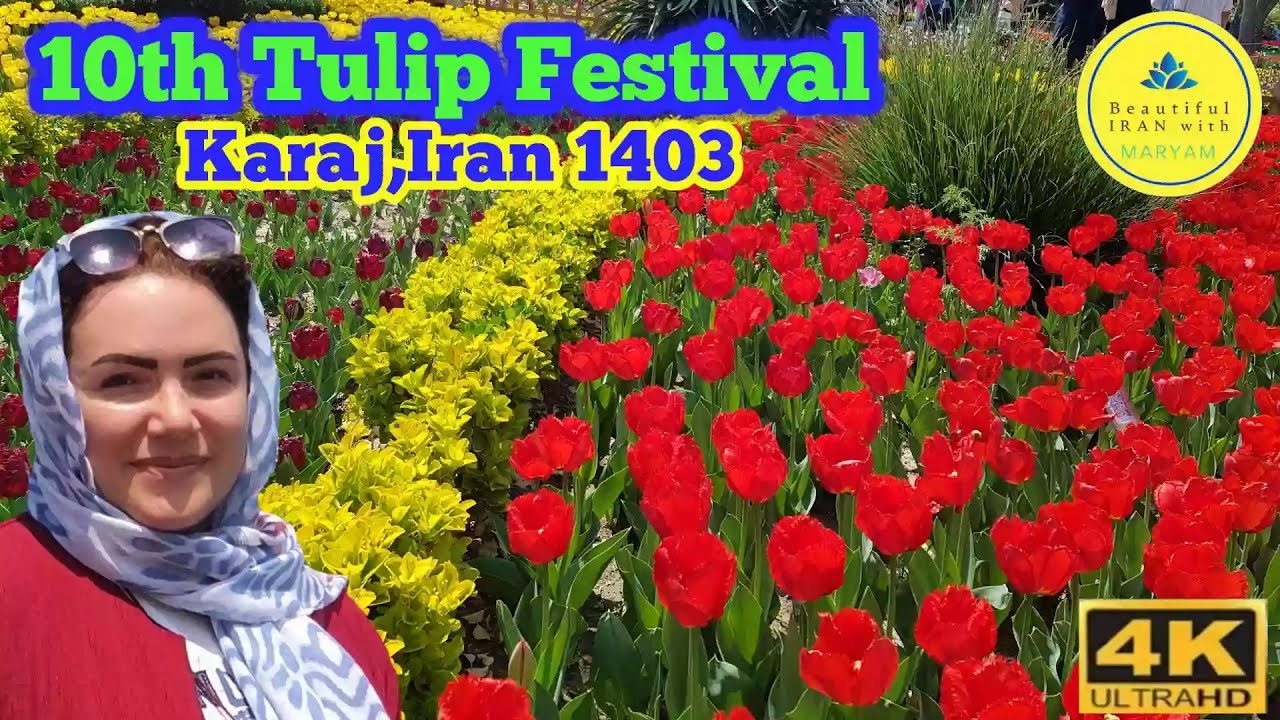The 10th Tulip Festival 1403 , Karaj,Iran - 4k - YouTube