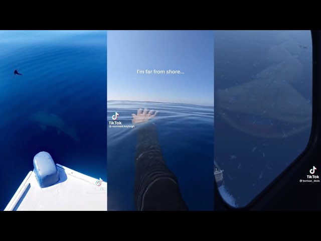 Scariest Images Of The Ocean - Infoupdate.org