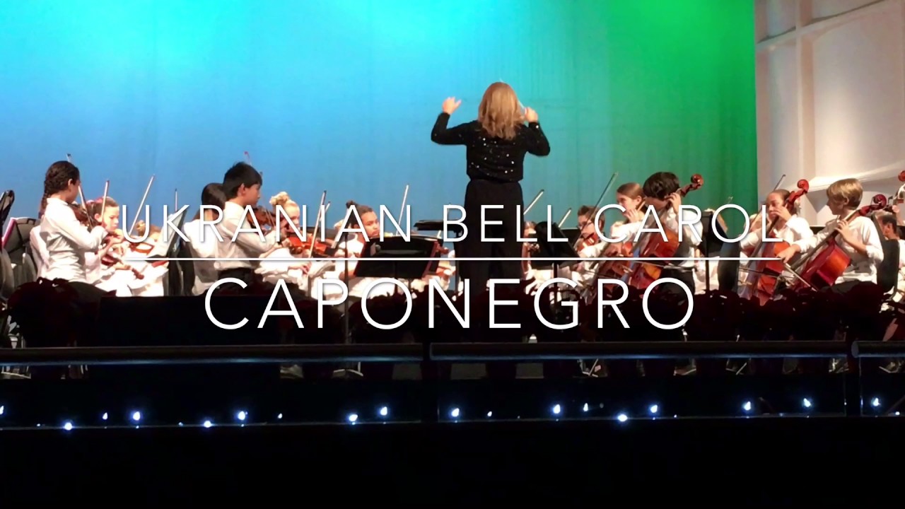 2016 Winter Orchestra Concert! I Got First Chair Viola! - YouTube
