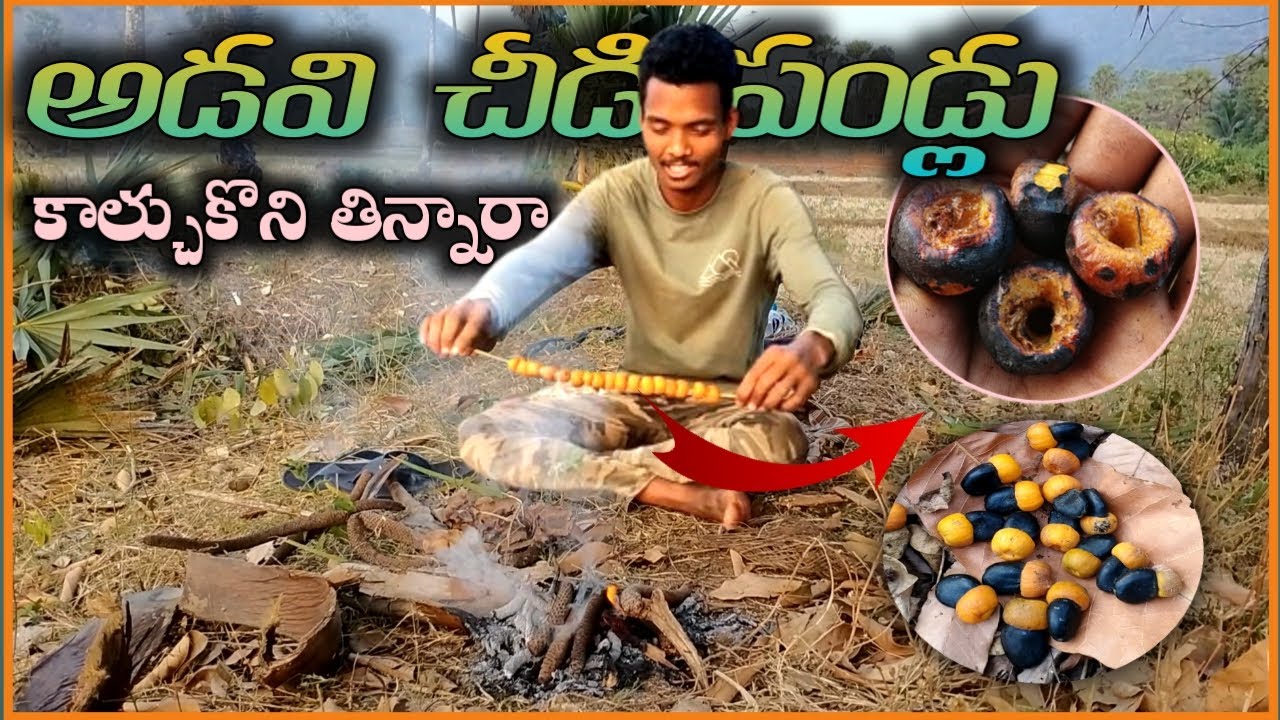 Nalla chidi pikkala pandlu kalchukoni tinnamu by chedalakumarvlogs ...