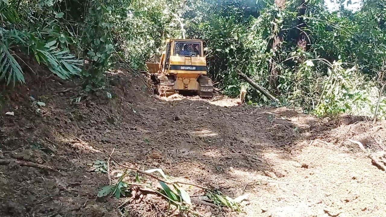 Heavy Machinery Bulldozer D6G Is Very Strong Through The Forest On The ...