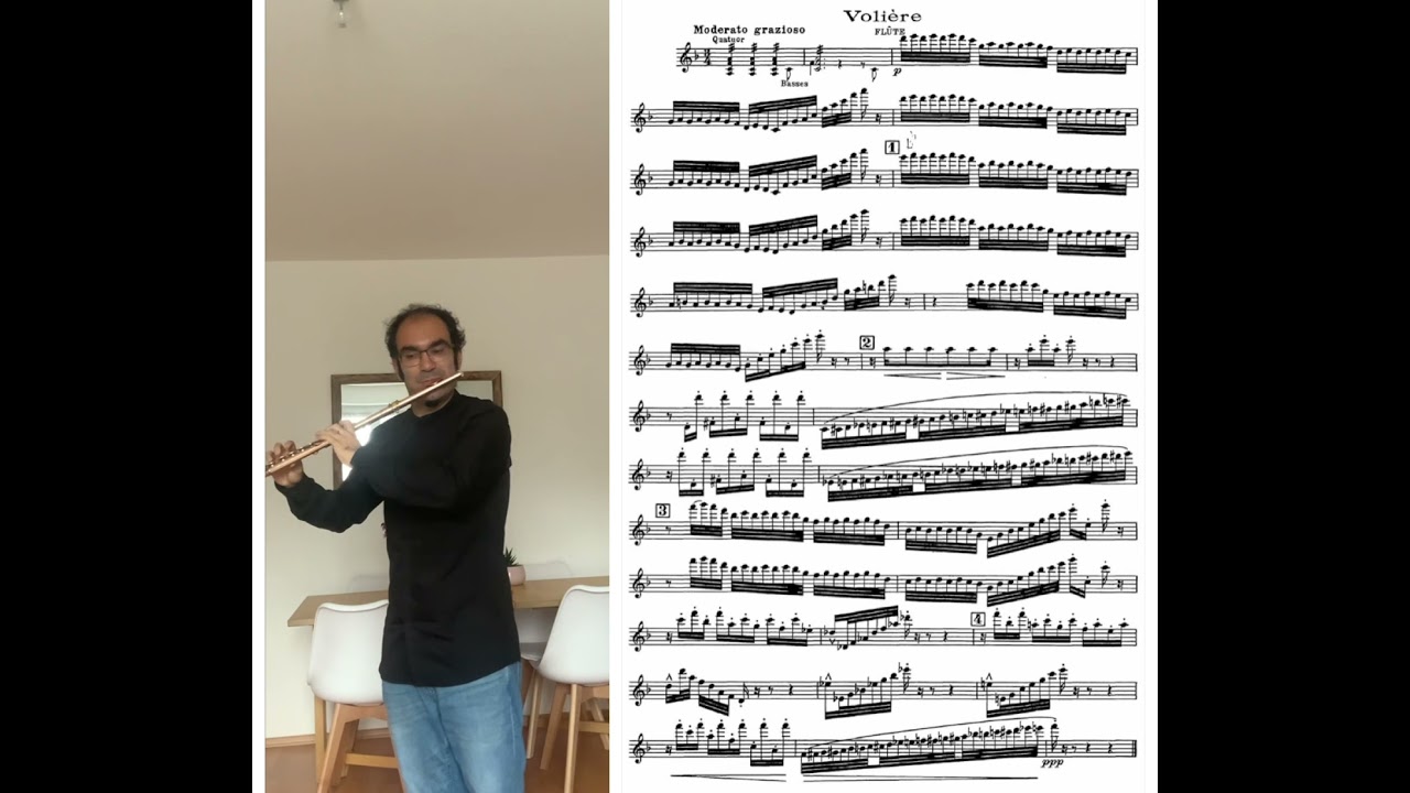 Crazy Volière (Carnaval des Animaux Flute Excerpt) 🤪🦜 - YouTube