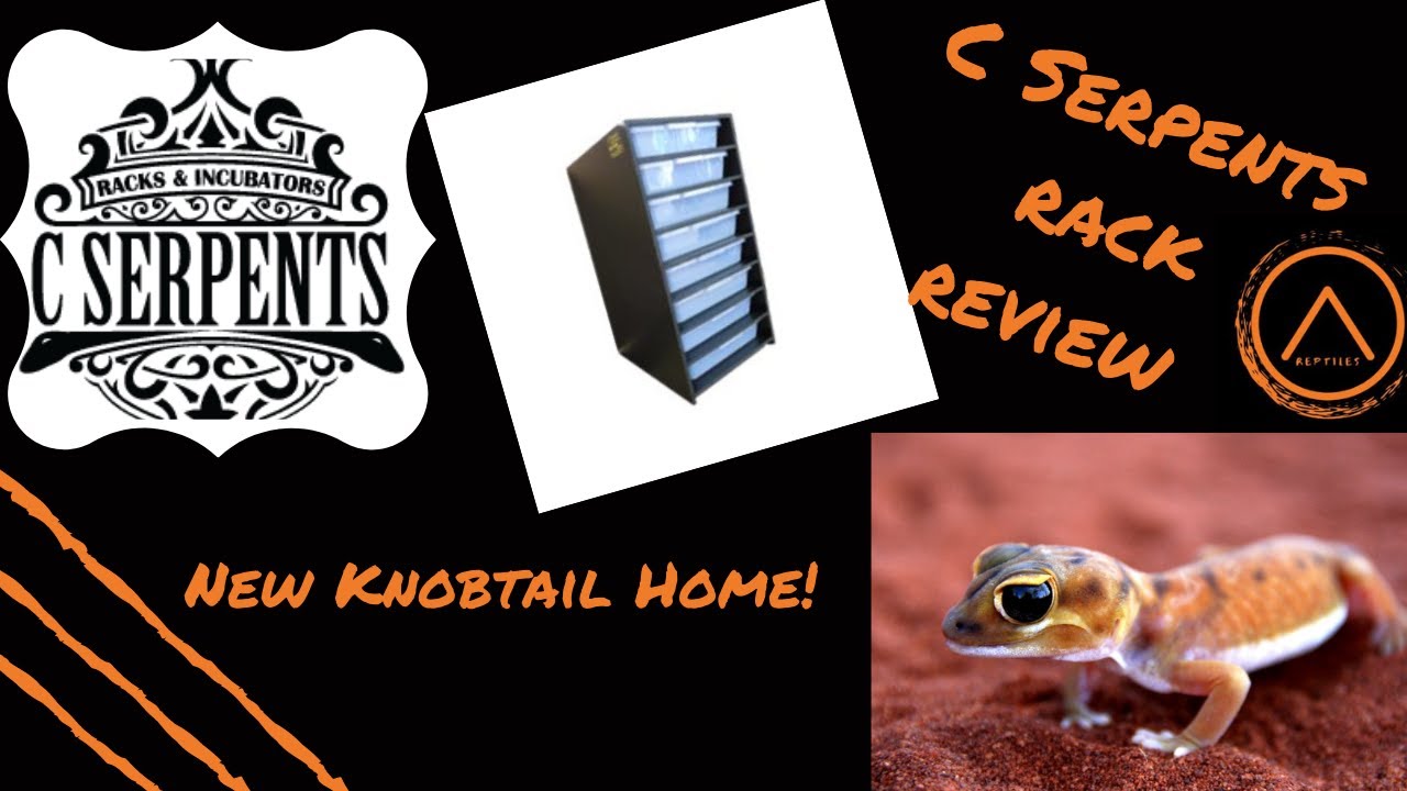 C Serpents Rack Review - YouTube