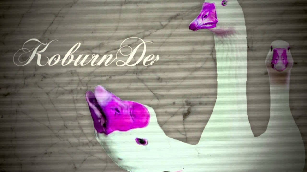 LOGO ANIMATION | handwrite - YouTube