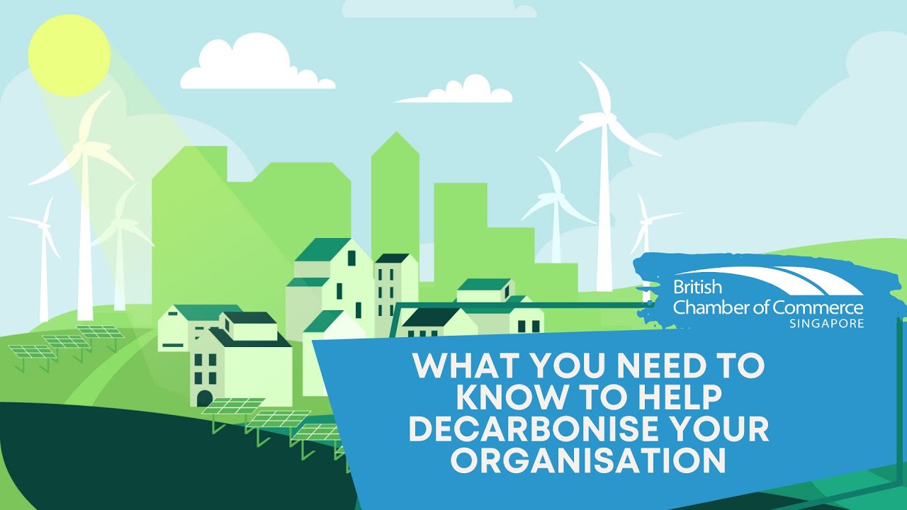 What You Need to Know to Help Decarbonise Your Organisation. - YouTube