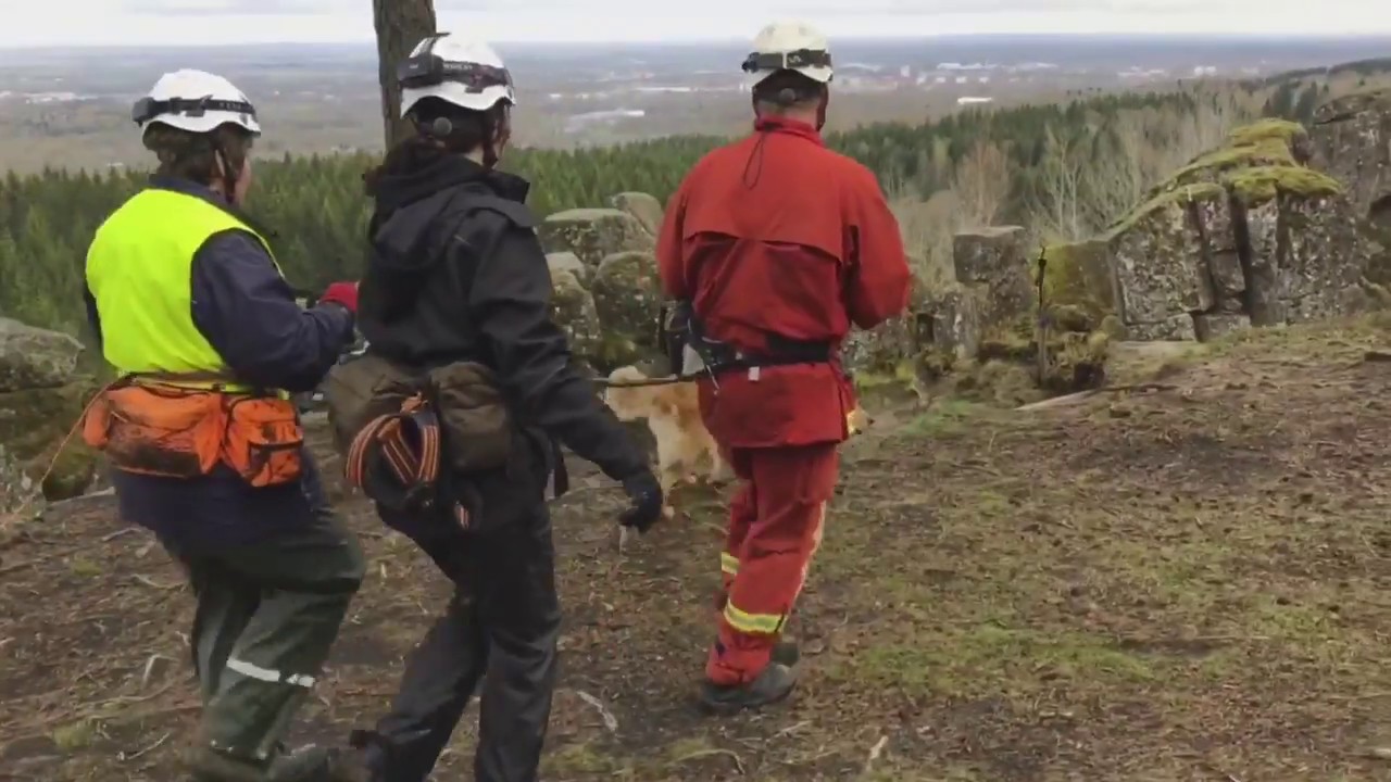 RHFU- Räddningshund förar utbildning 2018 - YouTube