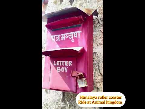 Himalaya roller coaster ride at animal kingdom Disney world Florida USA ...