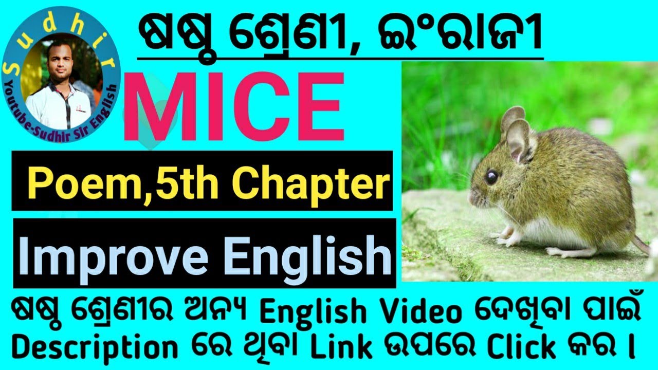 🔶MICE POEM, ଷଷ୍ଠ ଶ୍ରେଣୀ, ଇଂରାଜୀ, 5th Chapter - YouTube