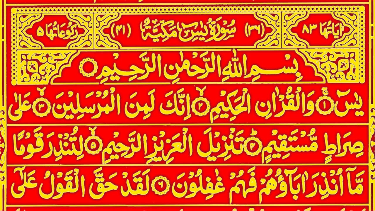 Surah Yasin Surah Rahman || Beautiful Quran recitation. || Full surah ...