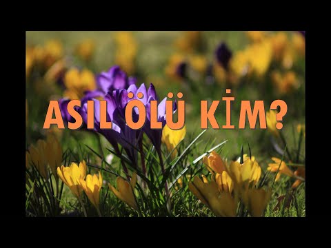 #menkıbe EN GÜZEL MENKIBELERDEN BİR BÖLÜM / \
