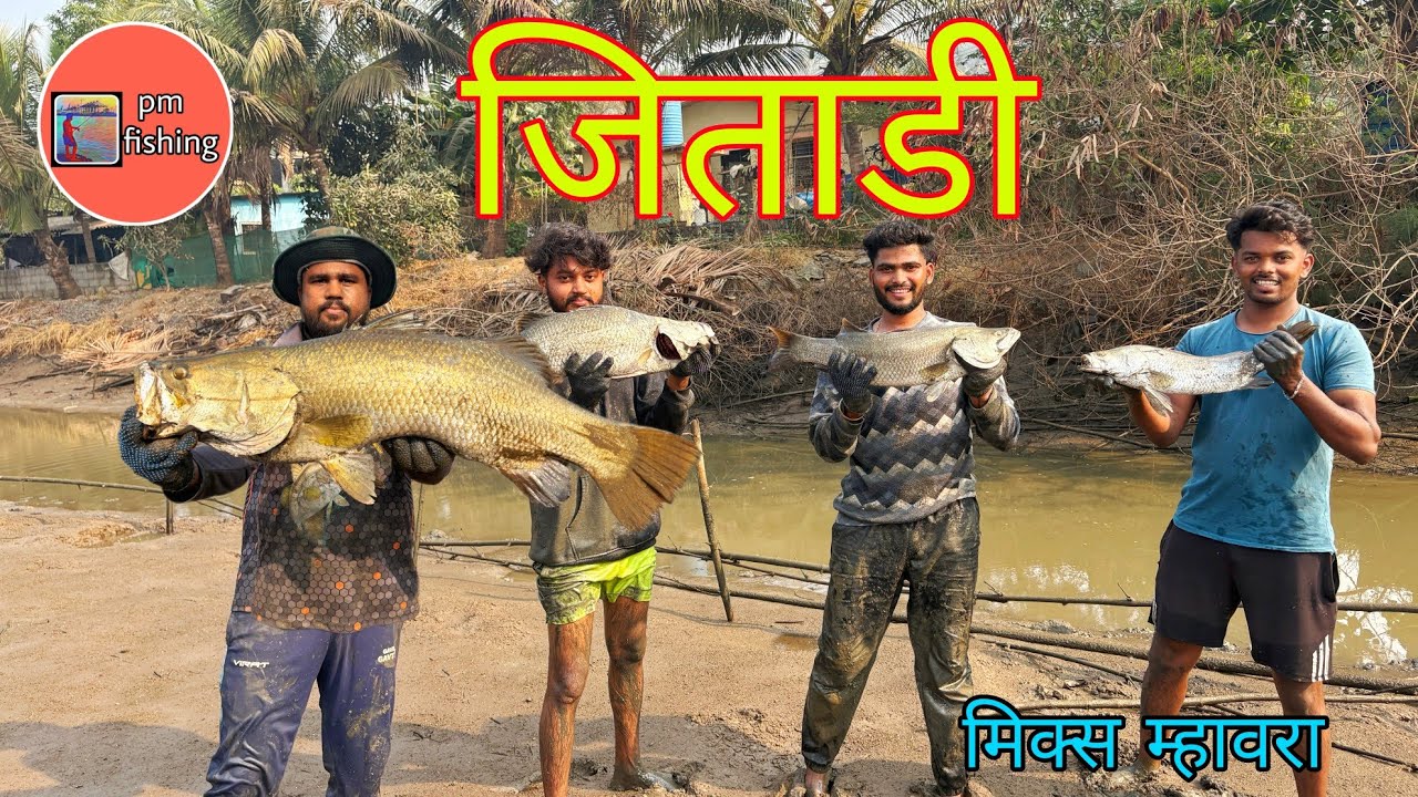 😜 रंगपंचमी स्पेशल जिताडी 🐟 आणि मिक्स मावरा तिलापी , तांब , हेकरु, नारबा ...