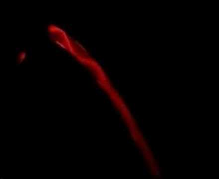 Light path inside a light guide 光導內的光線路徑 - YouTube