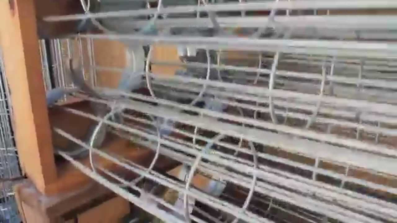 Canastillas para colectores de polvo. Fabricante en Guadalajara - YouTube