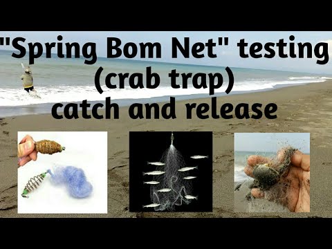 ep#17 spring bom net testing (crab trap) catch and release - YouTube