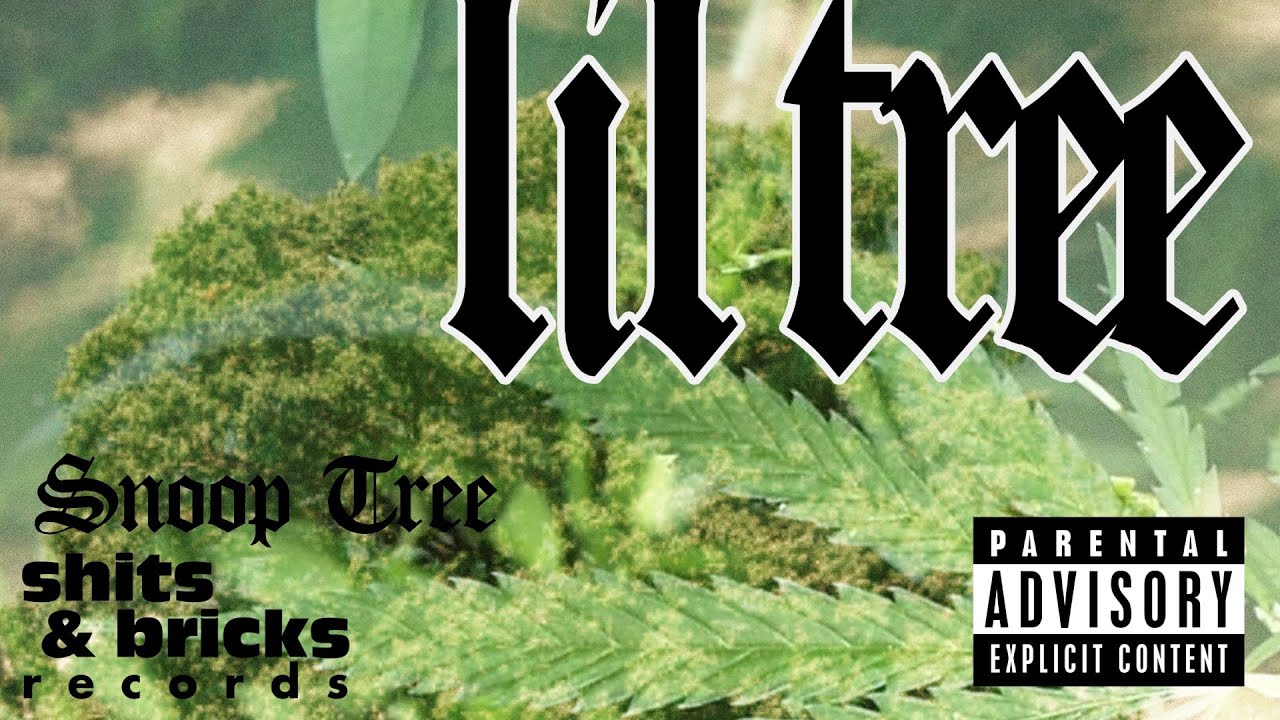 Lil Tree - Snoop Tree (Official Audio) [Explicit] - YouTube