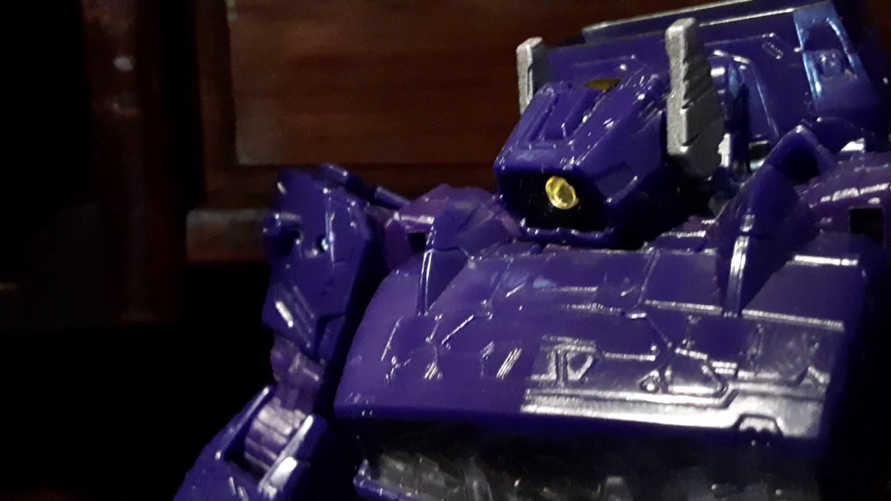 Shockwave's New Cat! - YouTube