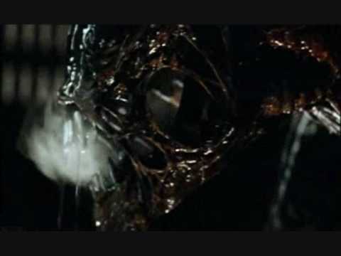 Alien shit ? - YouTube