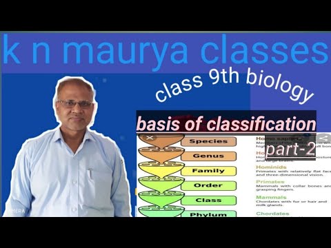 Basis Of Classification Part-2 Class 9th - YouTube