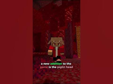 Everything NEW in Minecraft 1.20 UPDATE! - YouTube