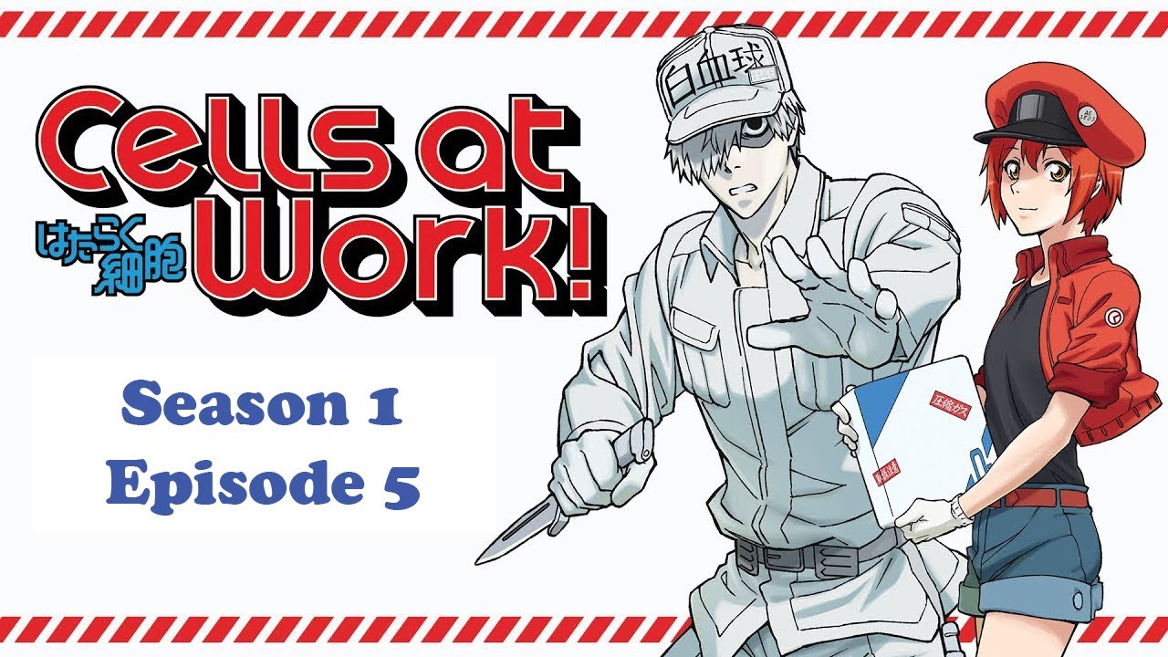 Cells at Work! S1 Ep 5: Parasite Invasion! - YouTube