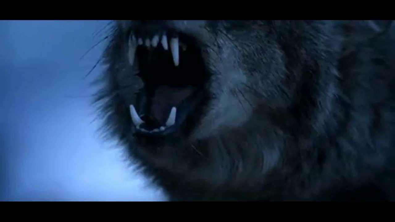 Undone FFH. Волки. - YouTube