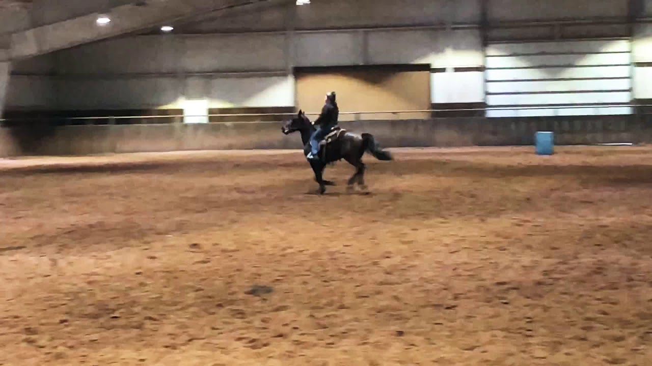 Bad Flitty Cat loping pattern - YouTube