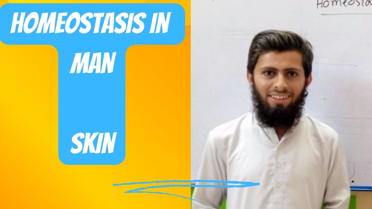 Homeostasis in man. |. Structure of Skin | 10 biology chapter 2 ...