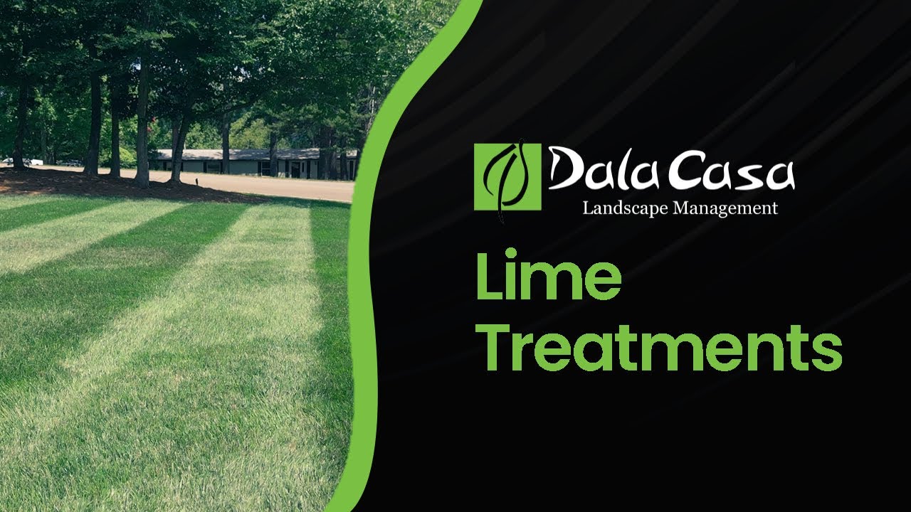 Lime Treatments - YouTube