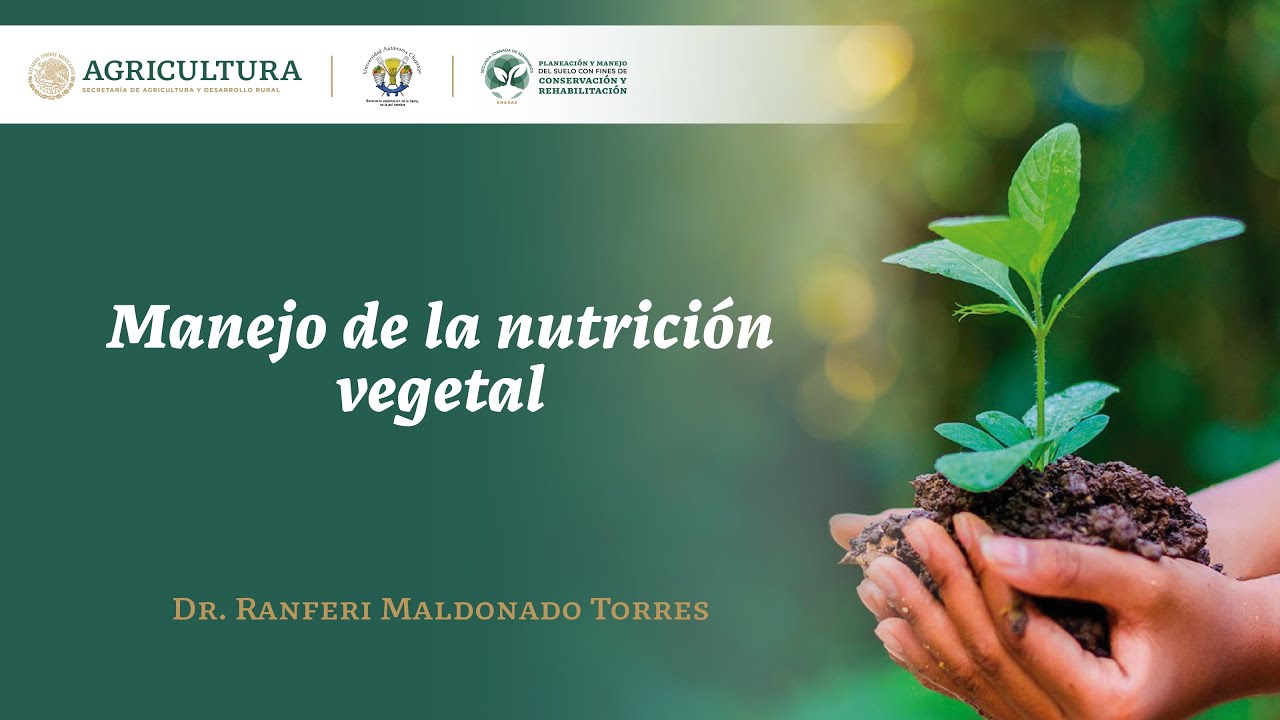 Seminario 17: "Manejo de la nutrición vegetal" - YouTube