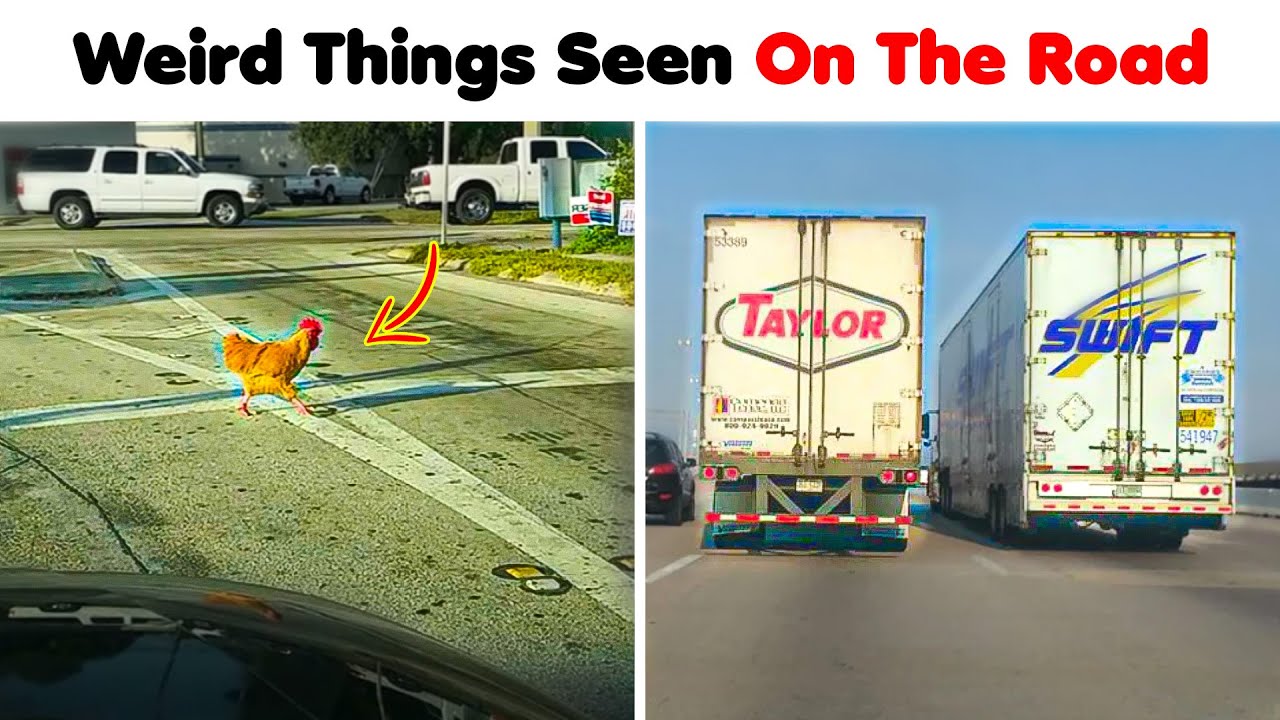 Hilarious Examples Of Weird Things Seen On The Road - YouTube