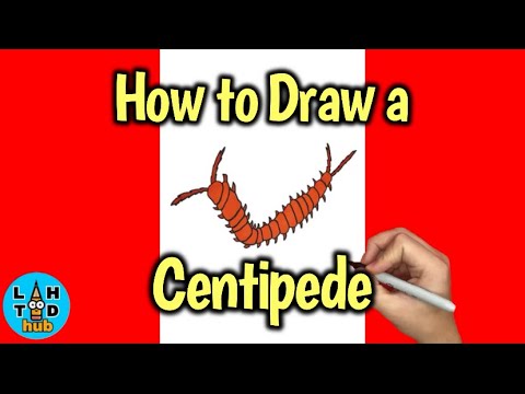 How to Draw a Centipede Step by Step Easy - YouTube