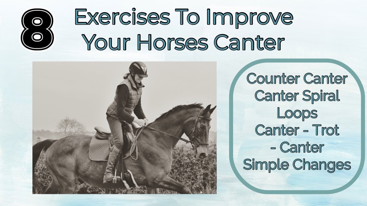 EXERCISES TO HELP IMPROVE YOUR HORSES QUALITY OF CANTER| Equestrian ...