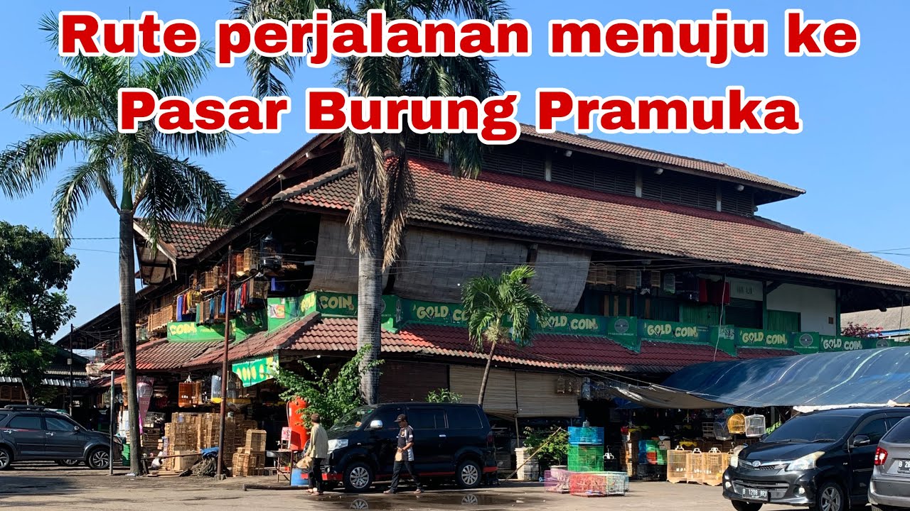 Rute perjalanan menuju pasar burung dan pasar obat Pramuka Jakarta ...