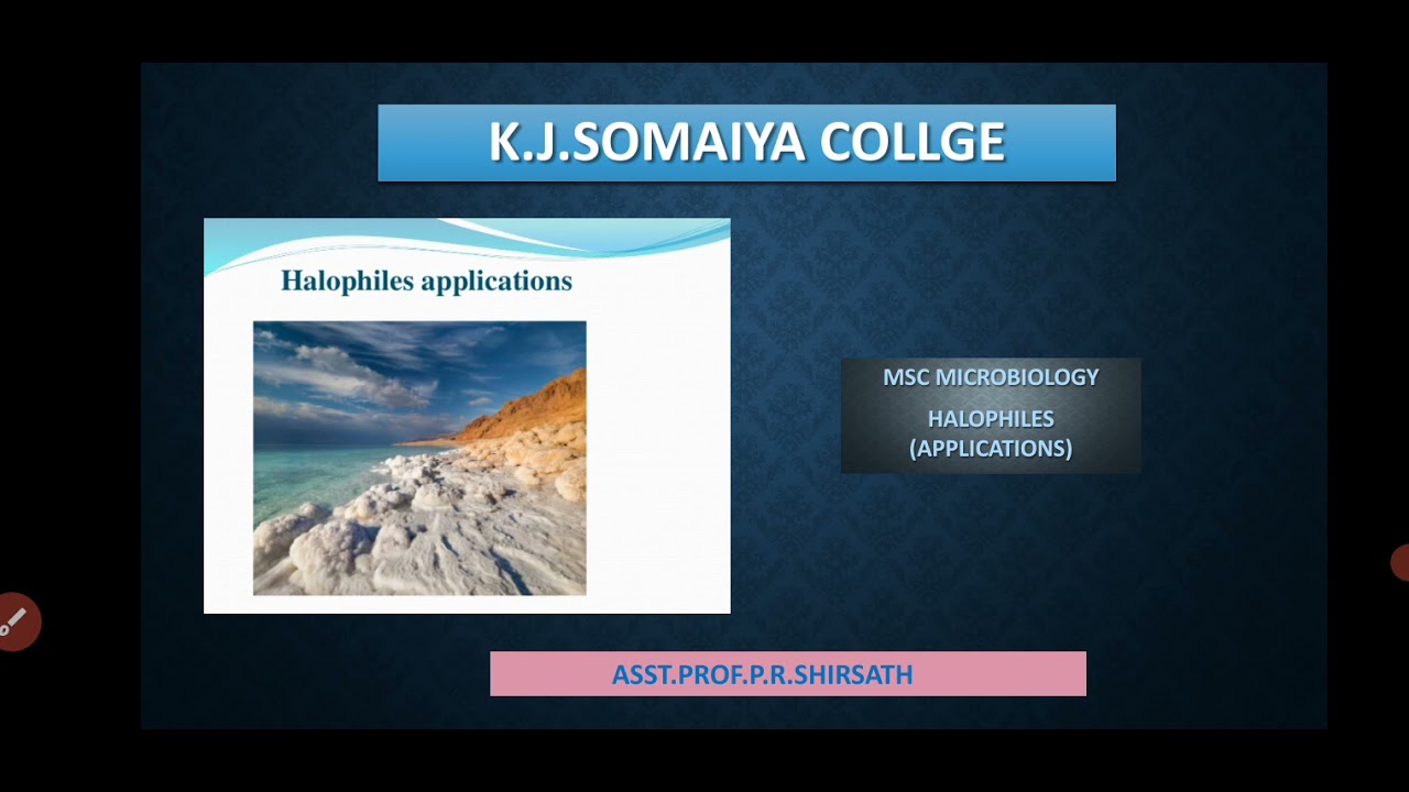 Asst.Prof.P.R.Shirsath(MSC I Fungal systematics and extremophiles) Lect12 - YouTube