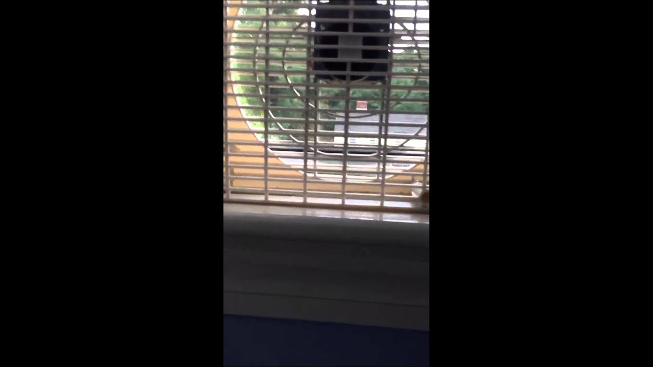Twin window fan made by holmes - YouTube