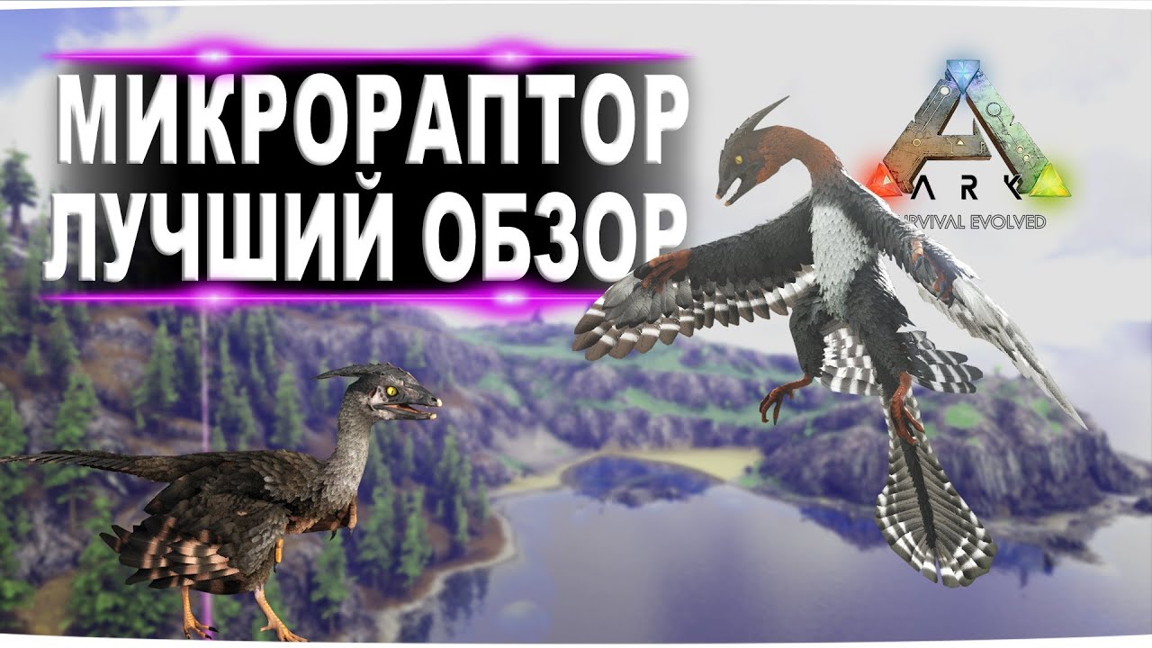 Микрораптор (Microraptor) в АРК. Лучший обзор: приручение, разведение и ...