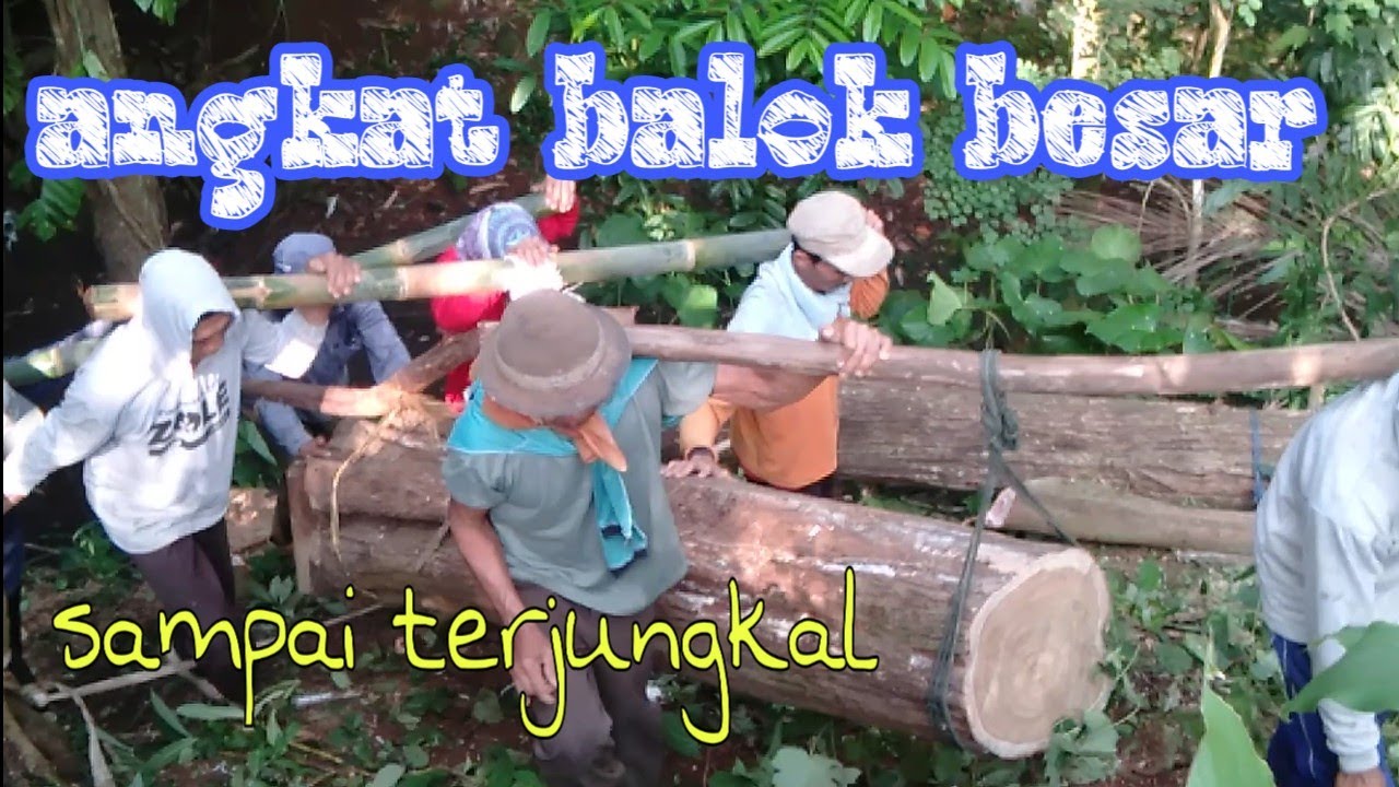 TERJUNGKAL....PIKUL KAYU BESAR DARI LEMBAH - YouTube