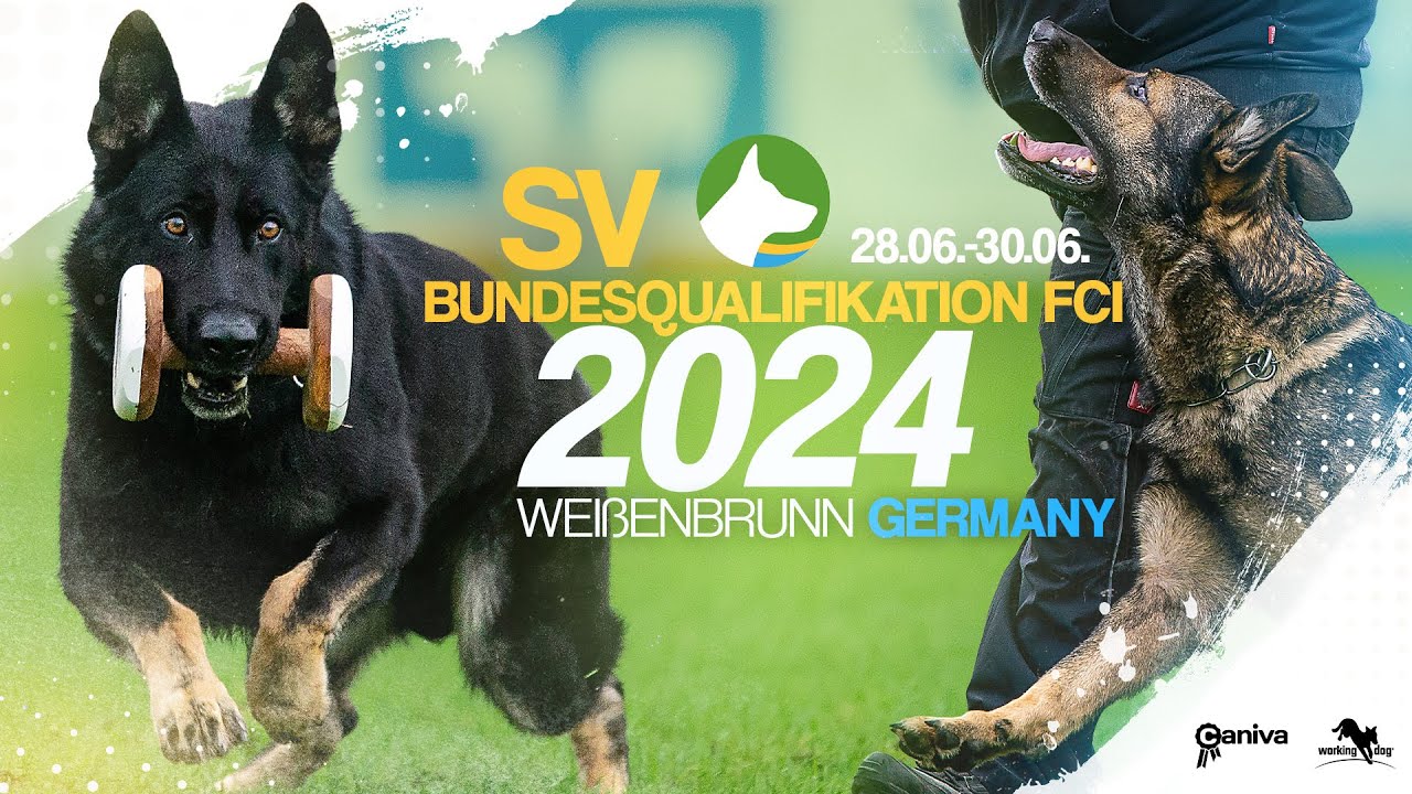 Puppykom 2024