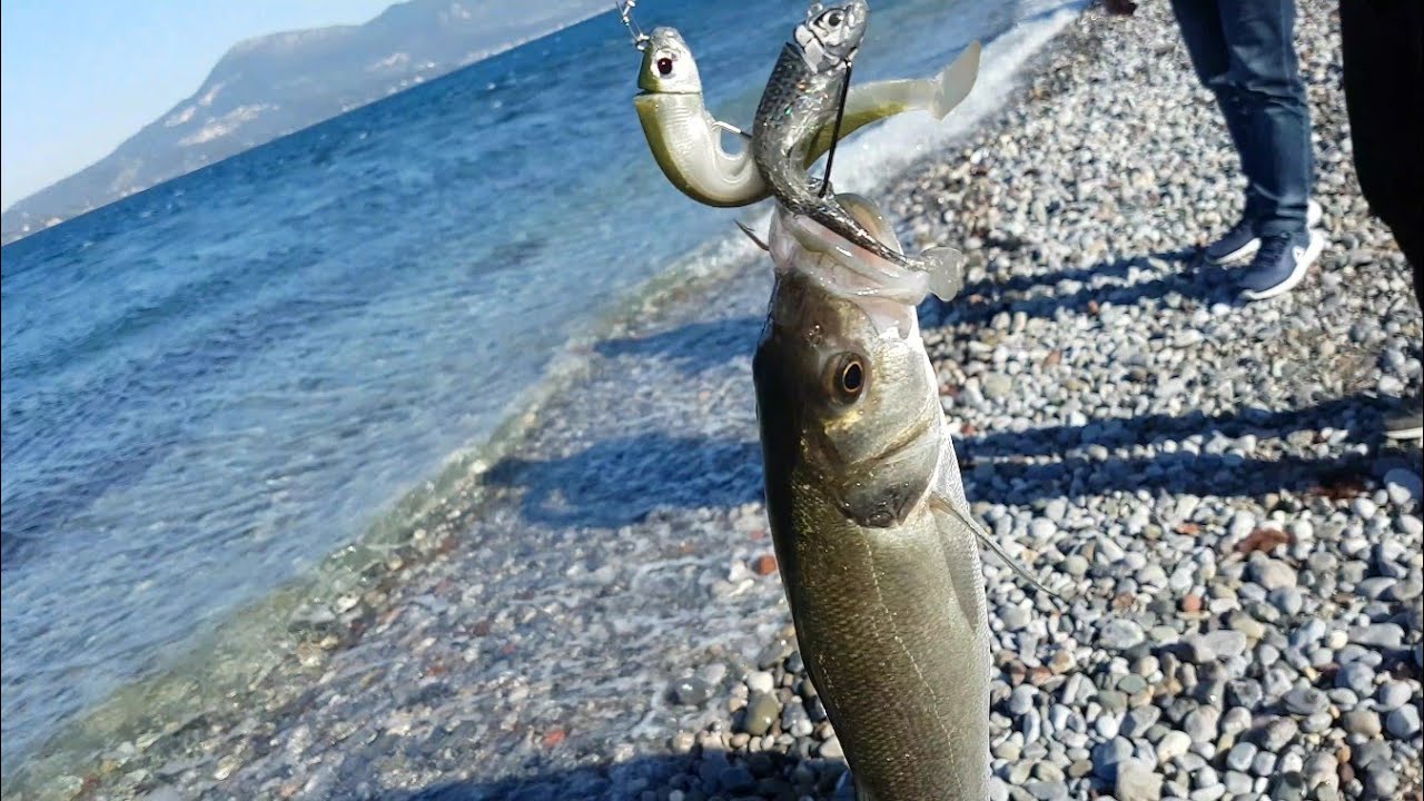 SURPRIZAT NË PESHKIM! - YouTube