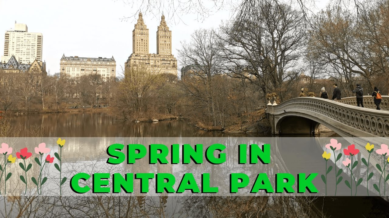 Early Spring in Central Park | Manhattan | New York | 2023 - YouTube