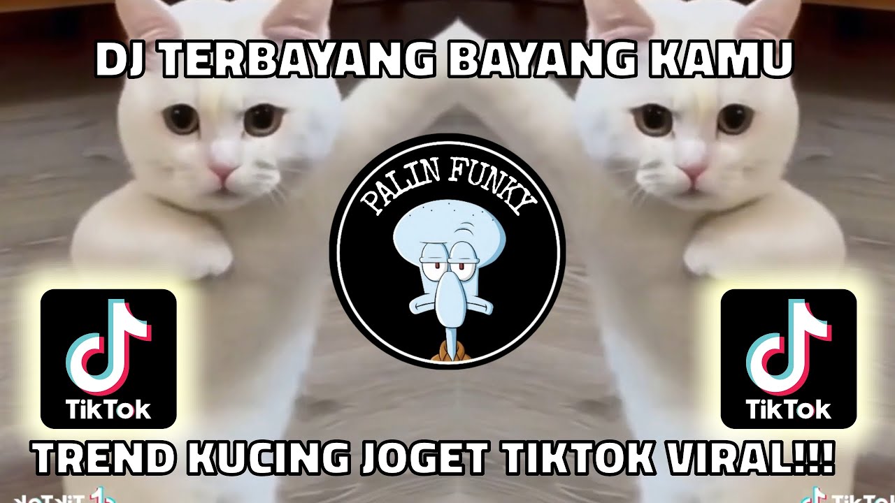 DJ TERBAYANG BAYANG KAMU | TREND KUCING JOGET VIRAL TIKTOK!!! - YouTube