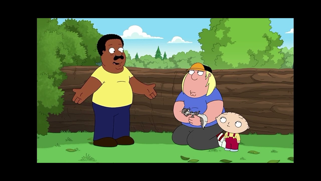 Family Guy - Stewie New Pet - YouTube