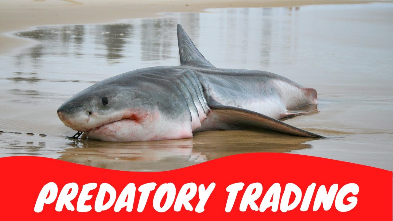 Predatory Trading: il popolo bue diventa uno sciame di locuste ...