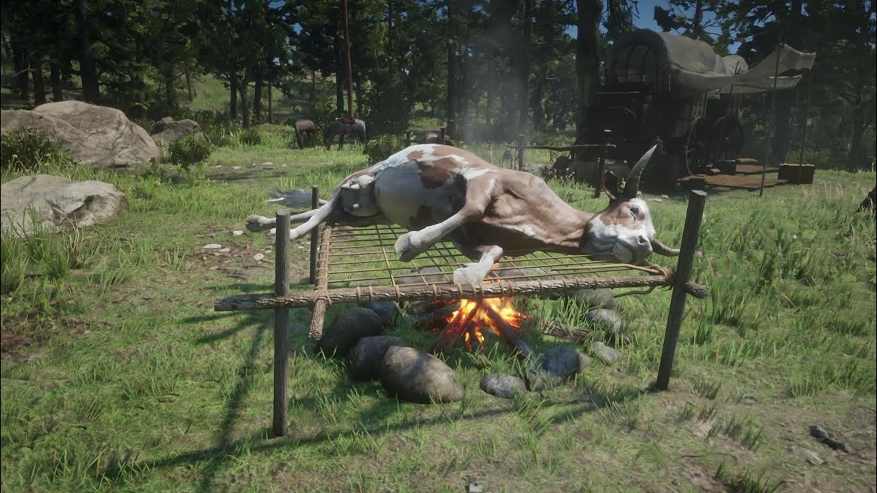 Cooking Animals Like A Barbecue - YouTube