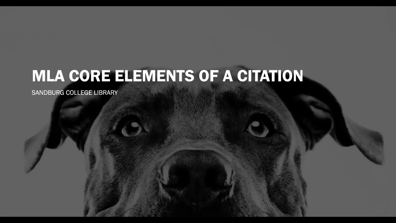MLA Core Elements of a Citation, 9th Edition 2021 - YouTube